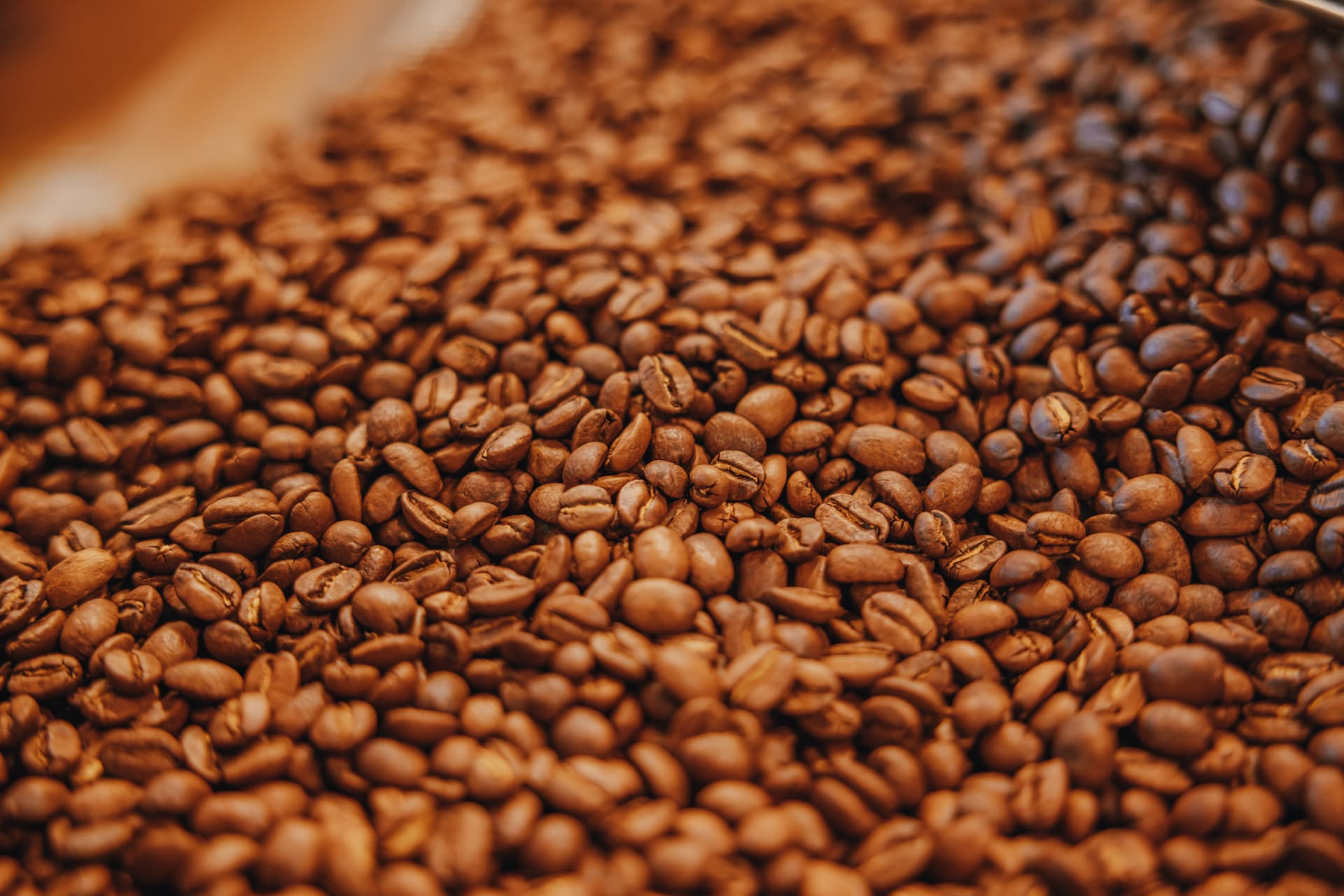 Coffee Roasters Hawaii - Kai Coffee Hawaii